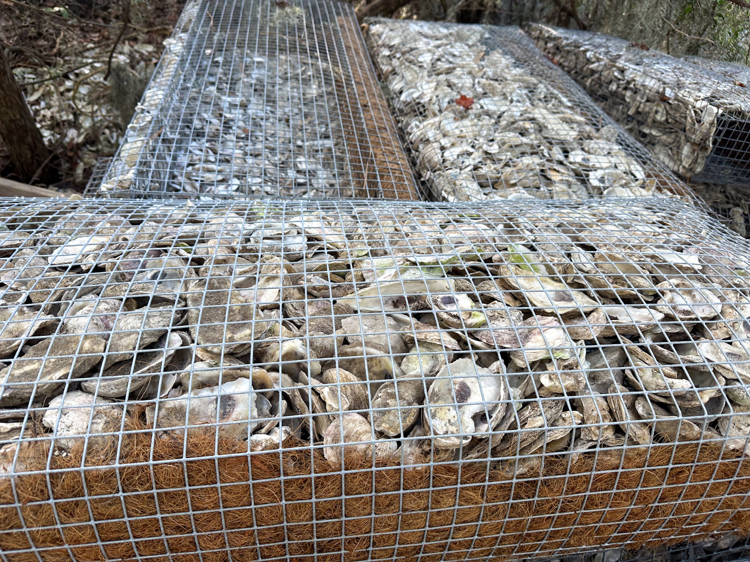 VOLUNTEERING WITH SCORE & SCDNR - Banks Construction Company, Asphalt ...